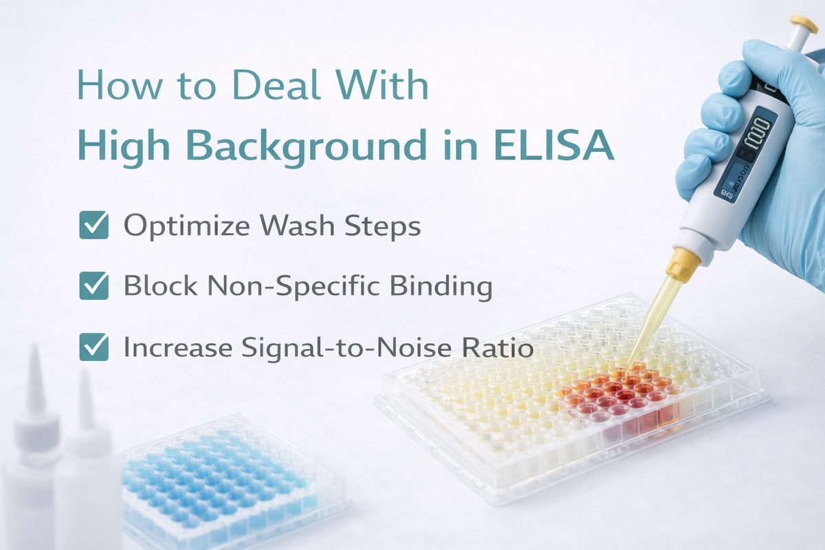 High Background in ELISA: Causes, Fixes, and Tips – AstorScientific