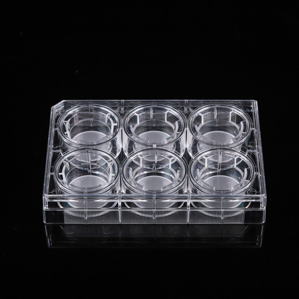NEST 6 Cell Culture Inserts+6 Well Plate, PET Membrane, TC, Sterile, 6 ...