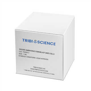 Lab Reagents for Research & Testing | Astor Scientific – AstorScientific