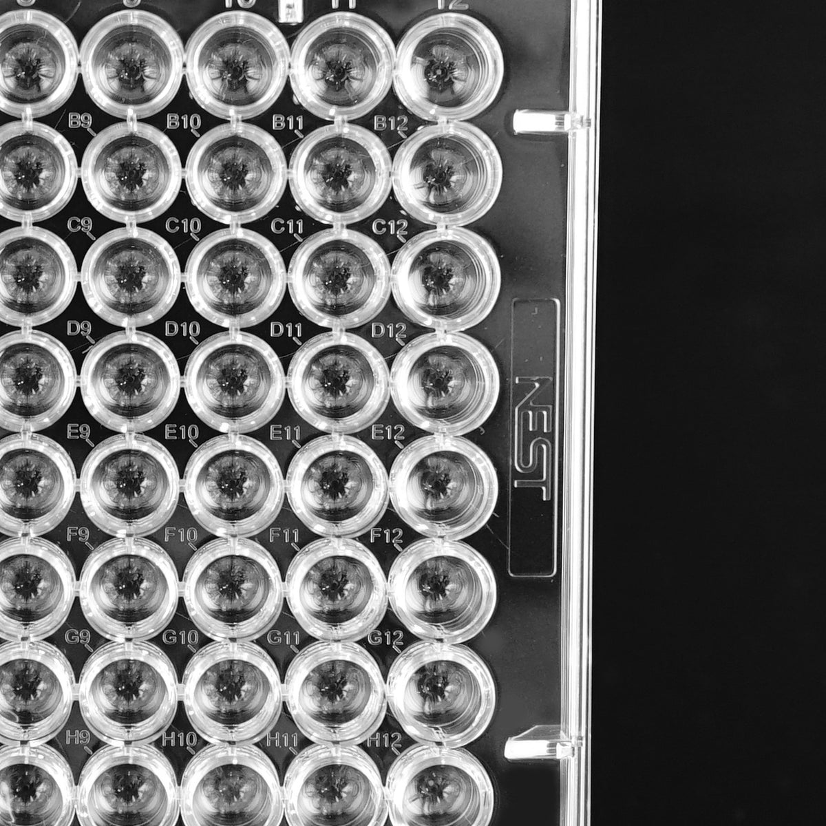 NEST 96 Well Cell Culture Plate, U-bottom, sterile 1/pk, 100/cs ...