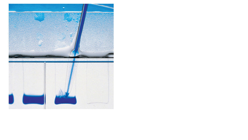 SDS-PAGE Stacking Gel Casting Solution – AstorScientific