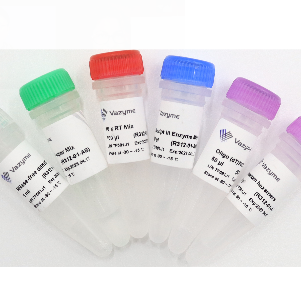 HiScript III 1st Strand cDNA Synthesis Kit (+gDNA wiper) R312 ...